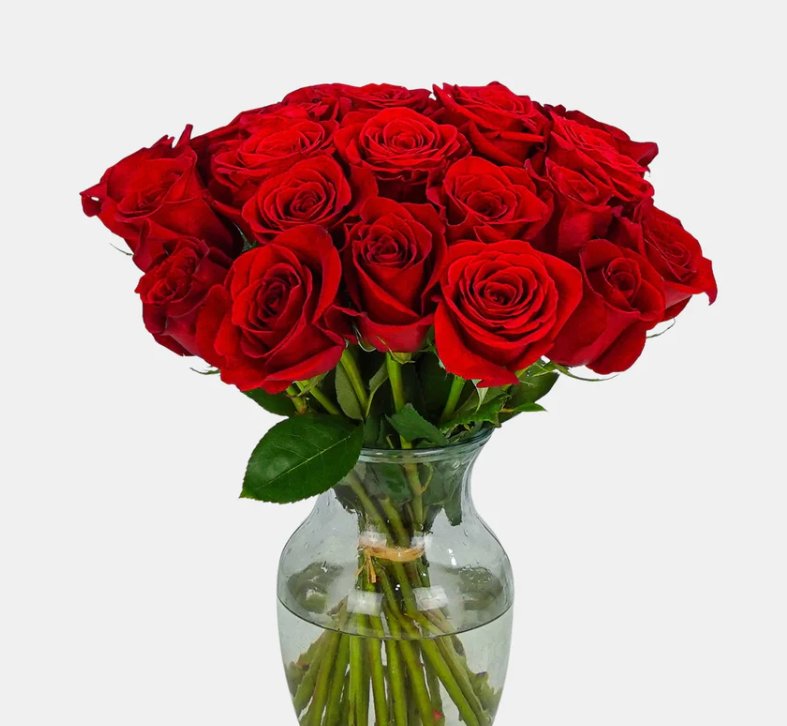 Foto De Flores Rojas