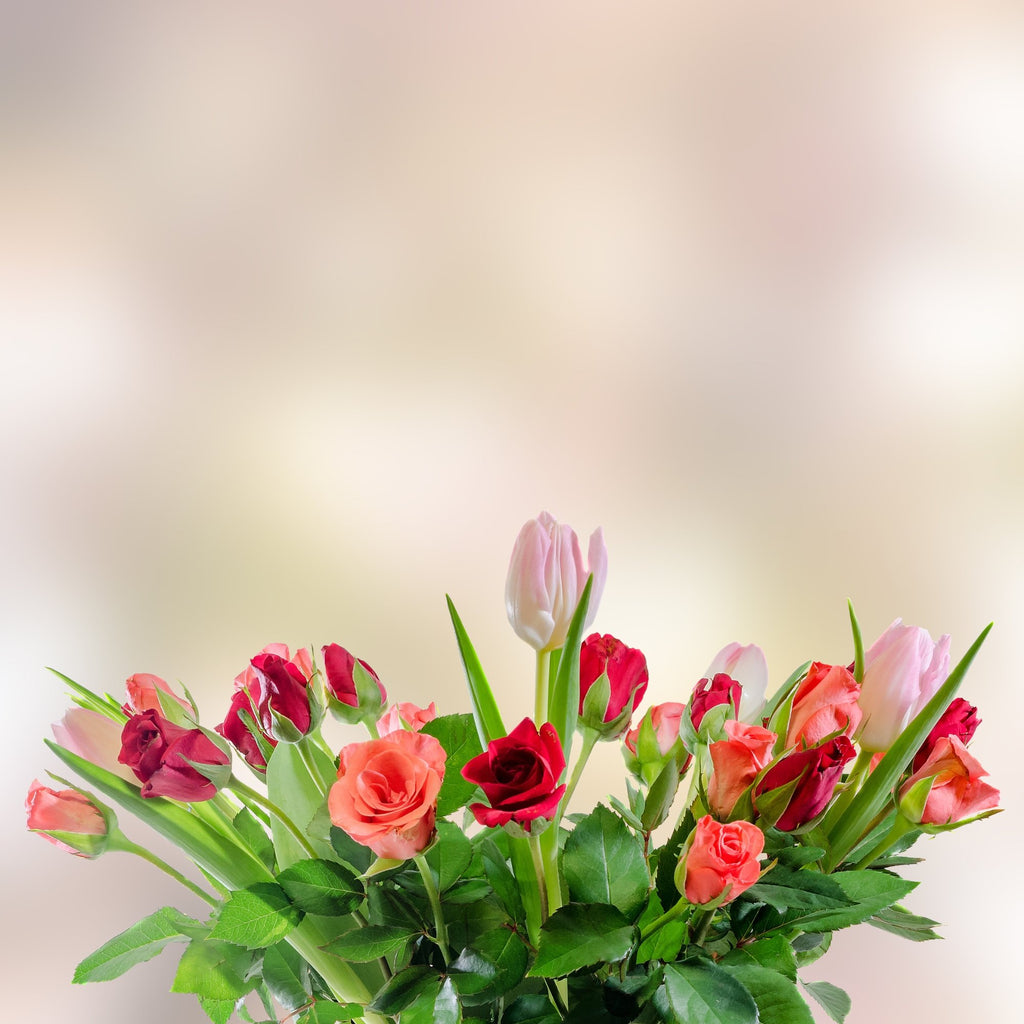 Significado De Las Flores Y Sus Nombres Y Orígenes Angiospermae